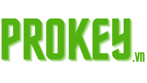 Windows 10 Pro bản quyền (Vĩnh viễn) – Prokey.vn | Tài khoản Premium giá rẻ